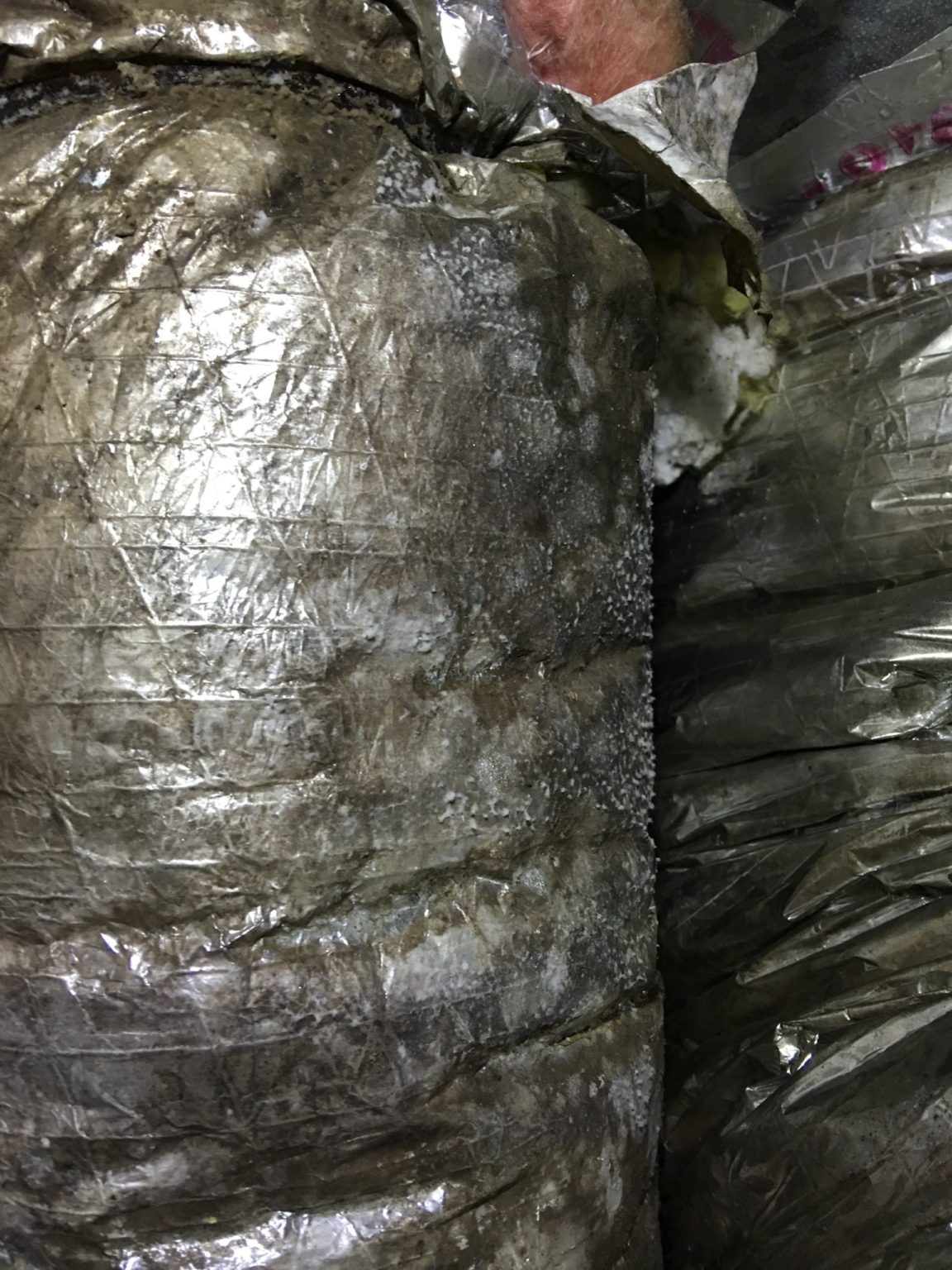 Mold On Your Air Conditioner? Causes And Cures | Mission Air ...